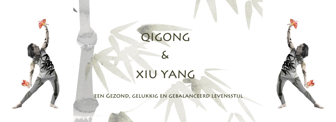 Qigong verdiepings les over Xiu Yang - Wu Xing Qigong | Lessen ...